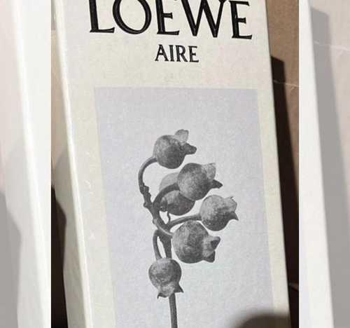 Loewe Aire Sutileza 100 ml