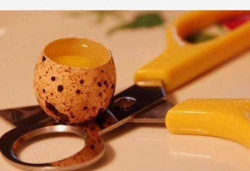 Ножницы для вскрытия перепелиных яиц