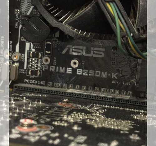 Торгasus prime b250m k   i5 7400f