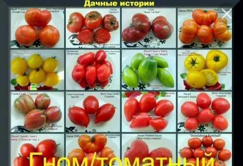 Семена помидор из серии томатный гном