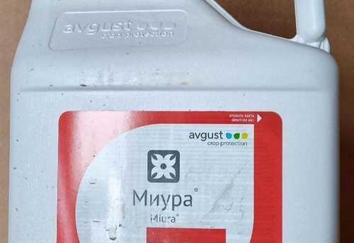 Миура