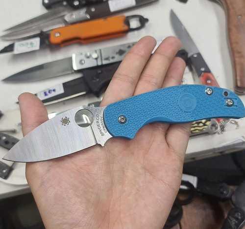 Нож Spyderco Sage 5