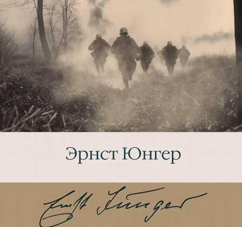 Эрнст Юнгер - В стальных грозах