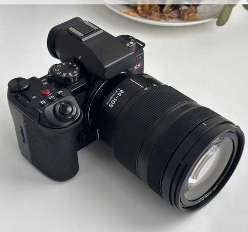 Panasonic Lumix s5ii   24-105 4