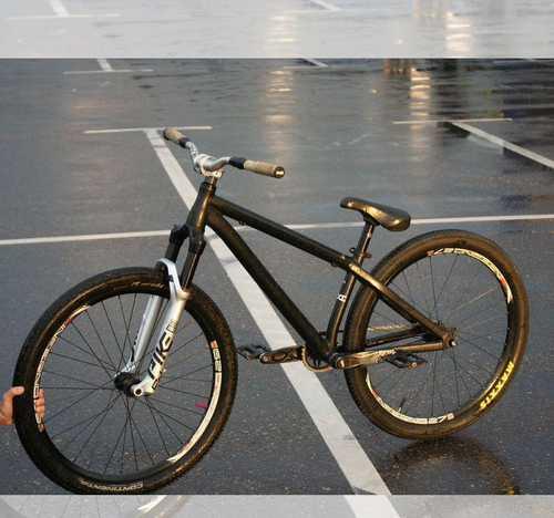 Custom street dirt mtb