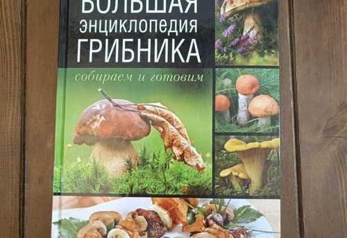 Большая энциклопедия грибника