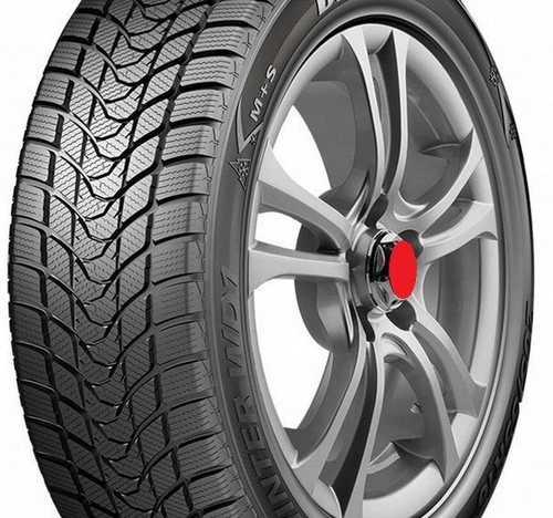 Delinte Winter WD1 205/60 R16 96T