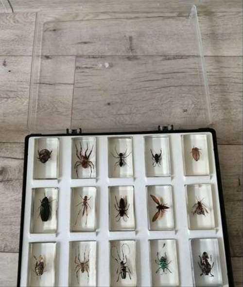 Коллекционные жуки из серии "Насекомые и их знаком