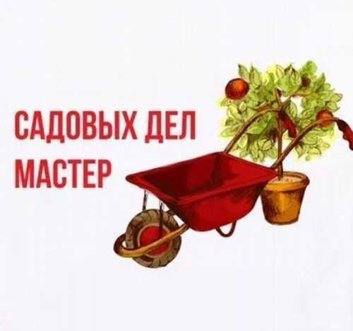 Услуги