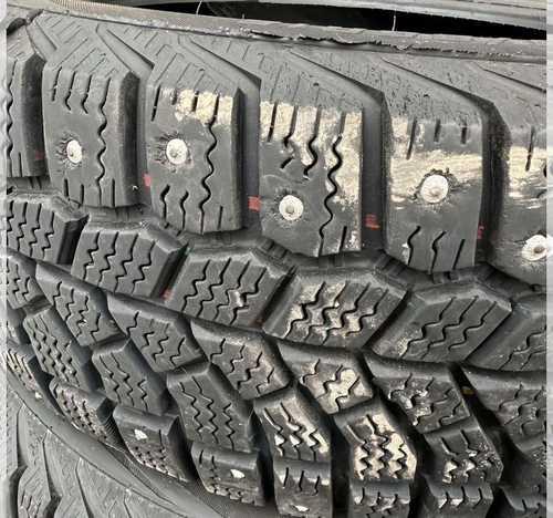Viatti Bosco Nordico V-523 185/55 R15 82T
