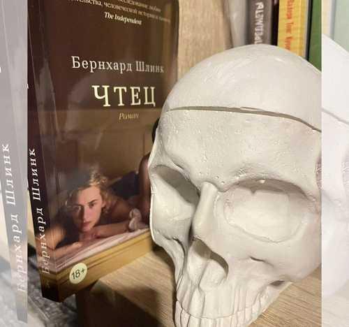 Чтец Шлинк