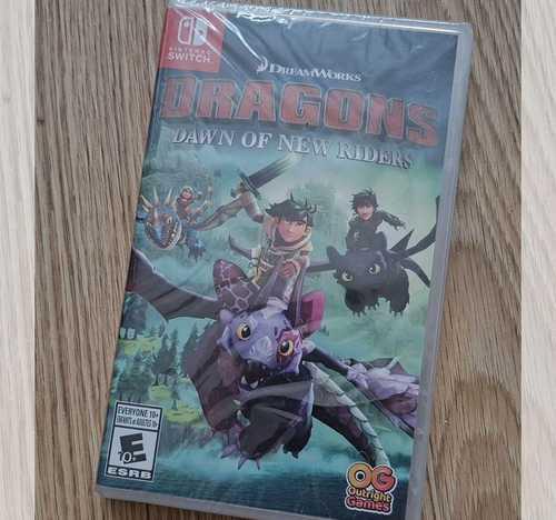 Dragons Dawn of New Riders, Nintendo, новая