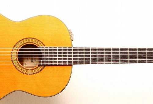 Takamine PTG-007, Japan '82