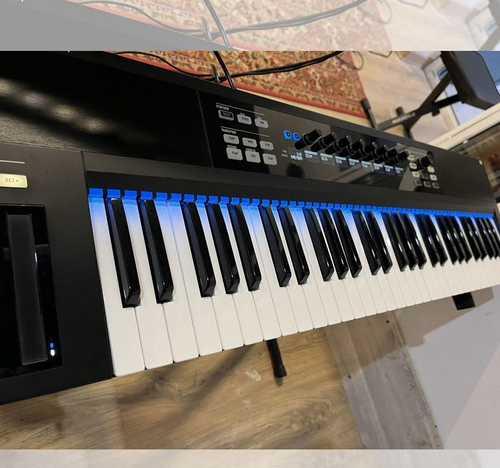 Native instruments komplete kontrol s61