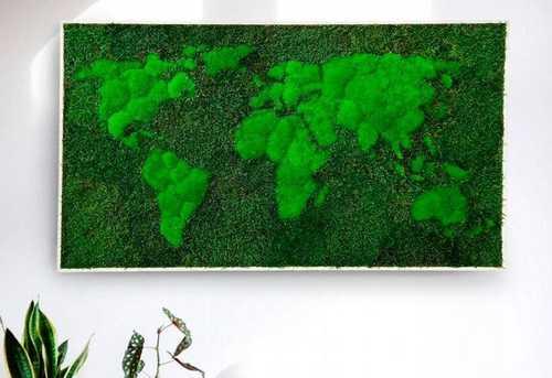 Карта мира из мха 'Зеленая карта природы / 150х70