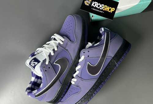 Кроссовки Nike Concepts x Nike SB Dunk Low Purple