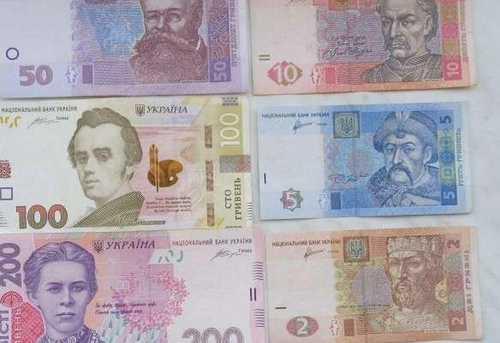 Украинские гривны. Банкноты