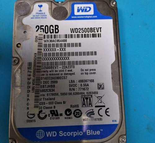 Жесткий диск wd Scorpio Blue 250gb