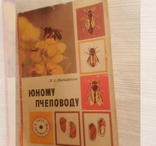 Юному пчеловоду Шабаршов книга