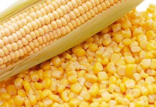 Кукуруза семена дкс 4014