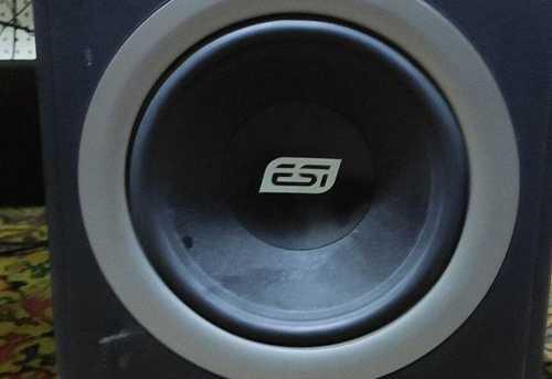 Студийный subwoofer ESI SW10K