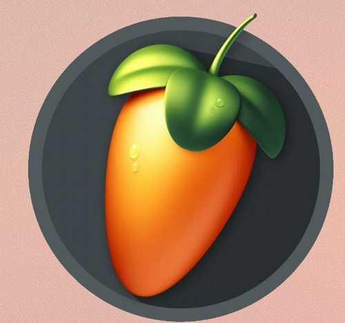 Fl Studio 24 бессрочно Windows и Mac