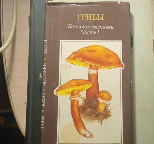 Книга