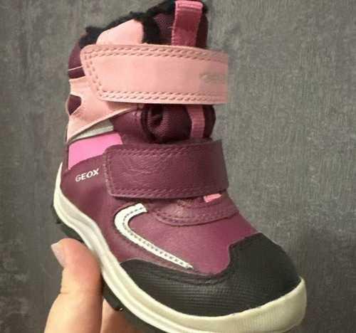 Geox amphibion 23