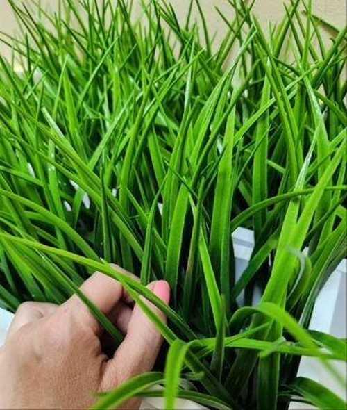 Трава искусственная Премиум трава бордюр