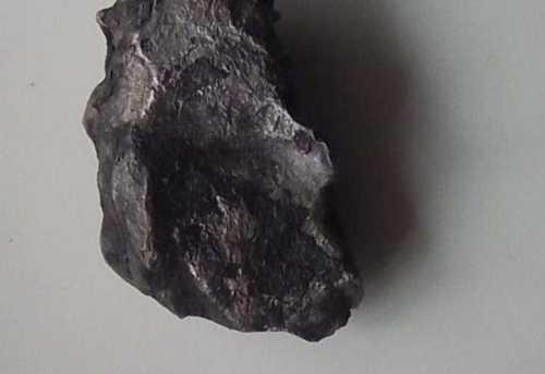 Метеорит Сихотэ Алинь 241