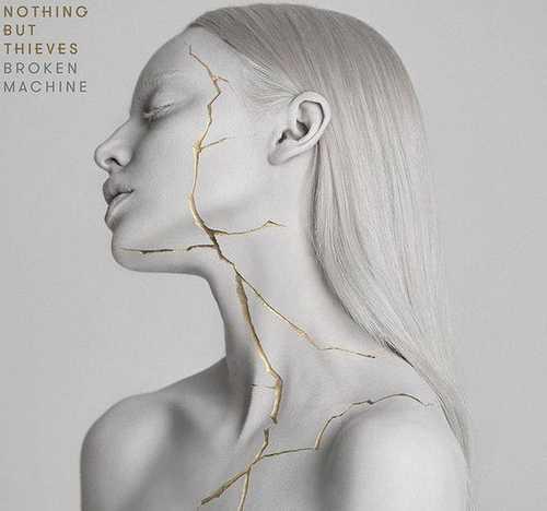 Виниловая пластинка Nothing but Thieves broken mac