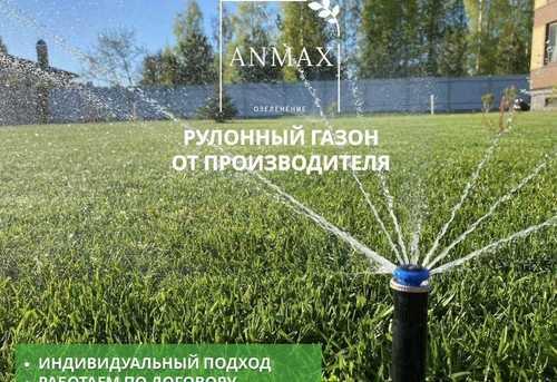 Рулонный газон