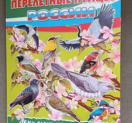 Карточки "Перелетные птицы России", 18 карточек