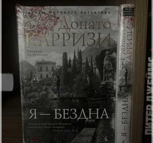 Книга нераскрытая, Донато Карризи, «Я - бездна»