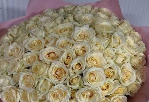 Розы, букет цветов, 101 роза, 51 роза. Розы опт
