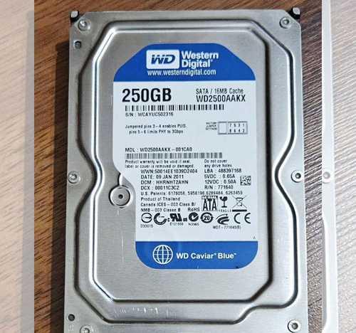 Жёсткий диск WD Blue 250GB