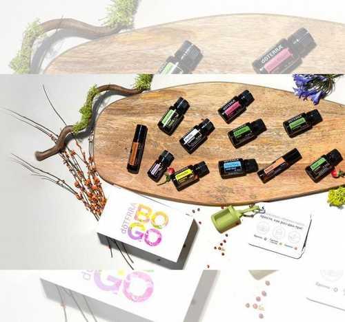 Bogo-box Doterra, эфирные масла Дотерра