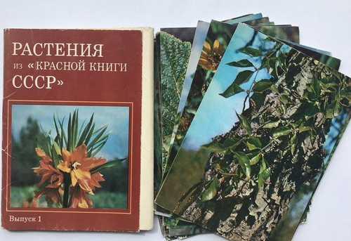 Растения из красной книги СССР, выпуск 1