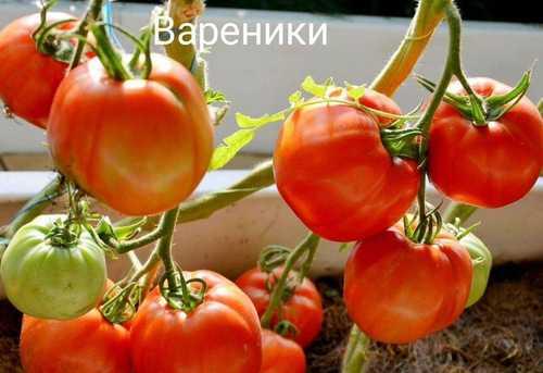 Семена томата из Казахстана Вареники