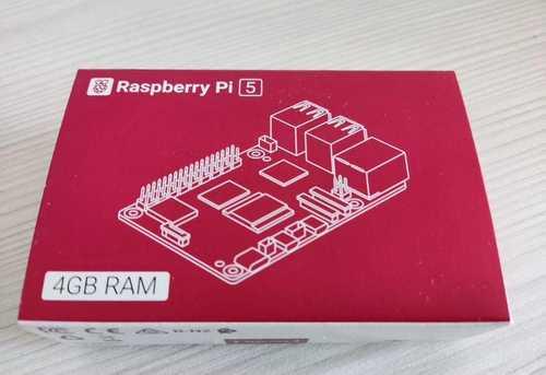 Raspberry PI5 4gb