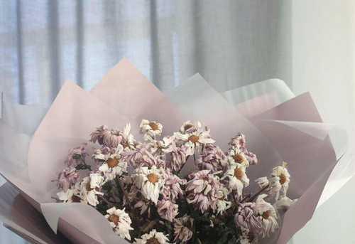 Букет сухих цветов, хризантемы
