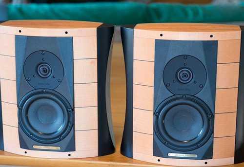 Sonus faber elipsa auditor