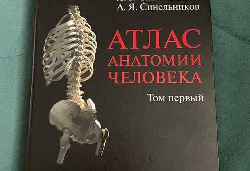 Атлас Синельникова том 1