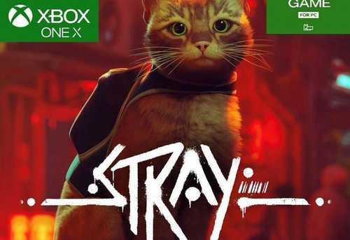 Stray / Xbox one S X