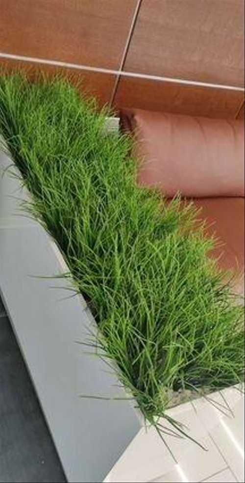 Озеленение искусственная трава, растения