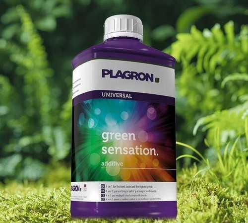 Plagron Green Sensation 250 мл Стимулятор цветения