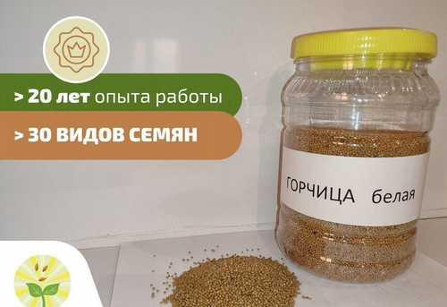 Семена горчицы