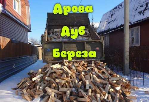 Береза 40см