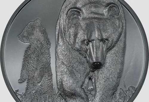 Монета Медведь Взросление Монголия 2023 год