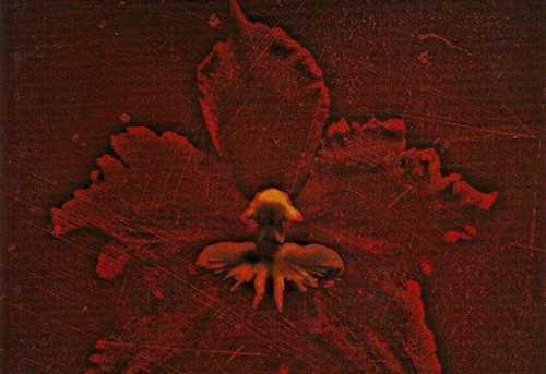 Виниловая пластинка Machine Head - Burning Red (18